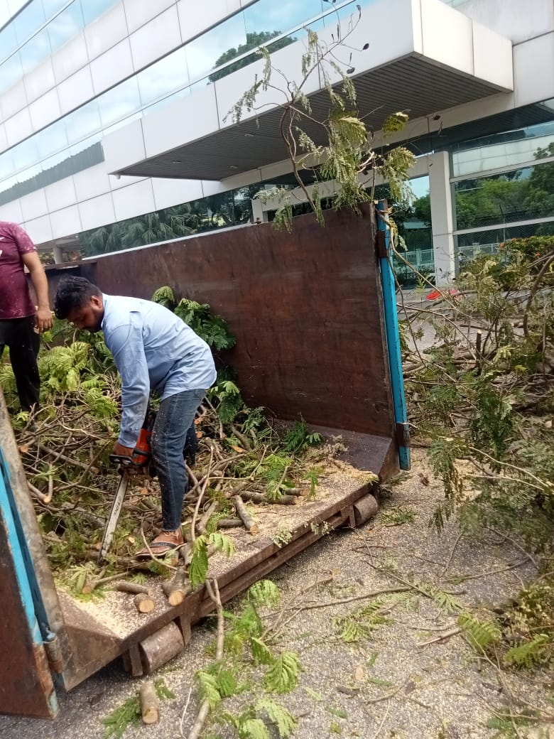 Tree Cutting Services | Gardening TreeCut